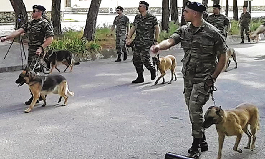 DOG NEWS| Πιο φιλόζωο το Ναυτικό από το Στρατό | All About Dog