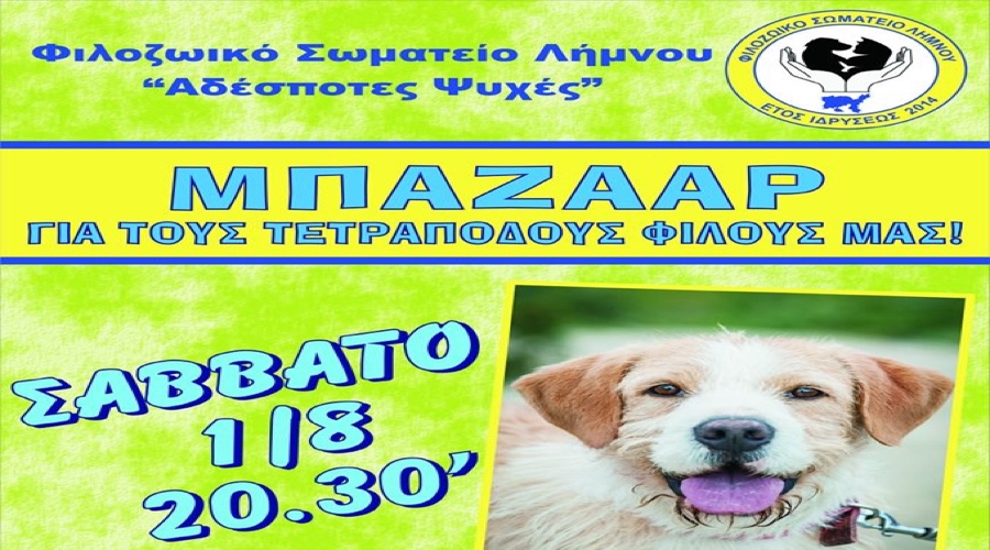 DOG NEWS| Μπαζάρ από το Φιλοζωικό Σωματείο Λήμνου | All About Dog