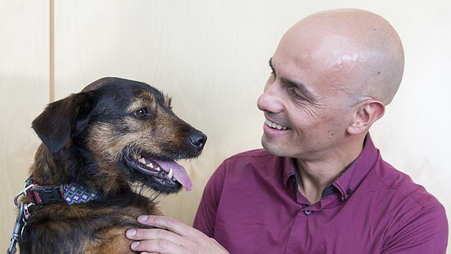 DOG NEWS| Έλληνας καθηγητής στην Αυστραλία ερευνά | All About Dog