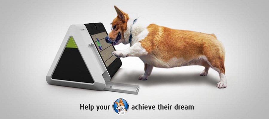 DOG NEWS| PC για σκύλους | All About Dog