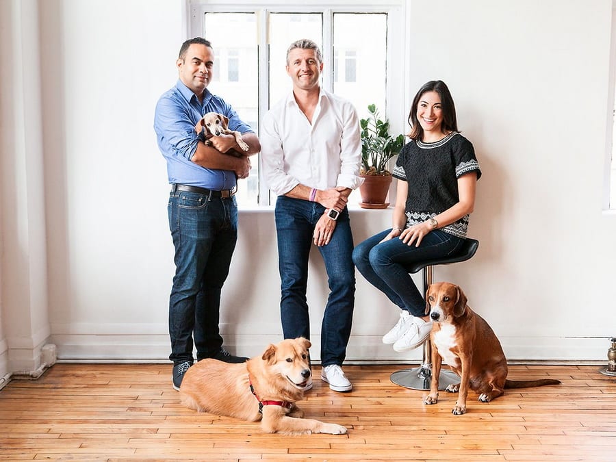 DOG NEWS| Barking Good! Η νέα startup επανάσταση στο φαγητό | All About Dog